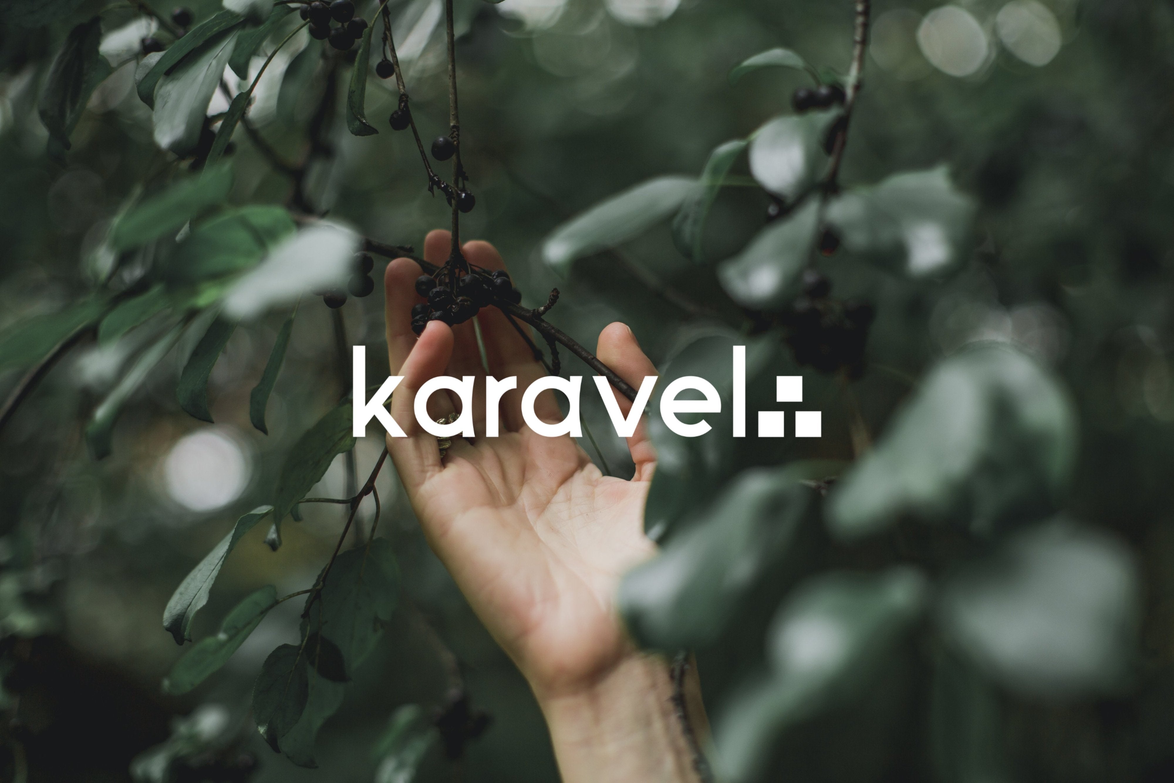 Karavel - Selon ce qui compte pour toi